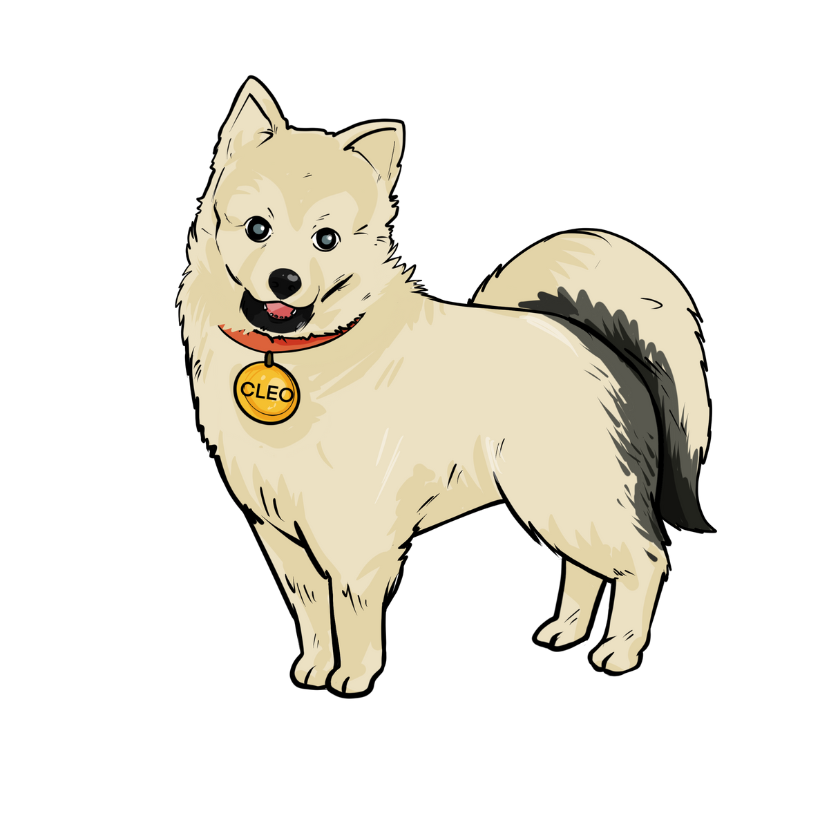 Cleo Collection (Pomeranian) – Team Perro